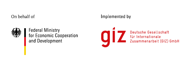 New Report Calls for Boosting Women’s Employment and Leadership in the ...