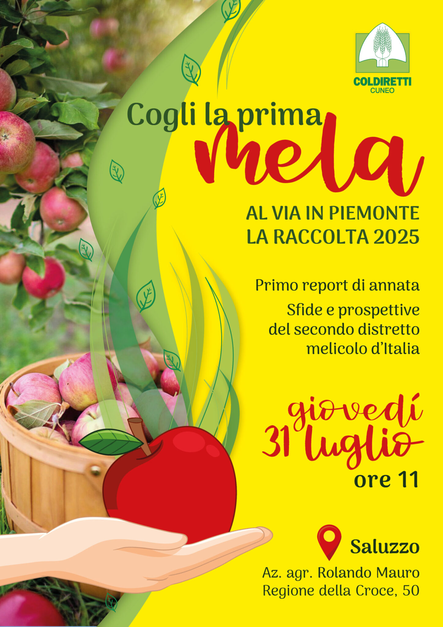 Comunicato stampa | COLDIRETTI CUNEO: AL VIA LA RACCOLTA DELLE MELE IN ...